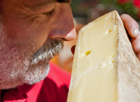 Experience traditions and South Tyrolean culture on a farm